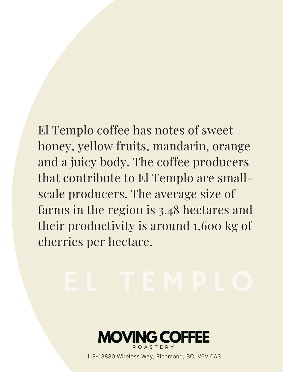 WS3 - El Templo – MOVING COFFEE ROASTERY