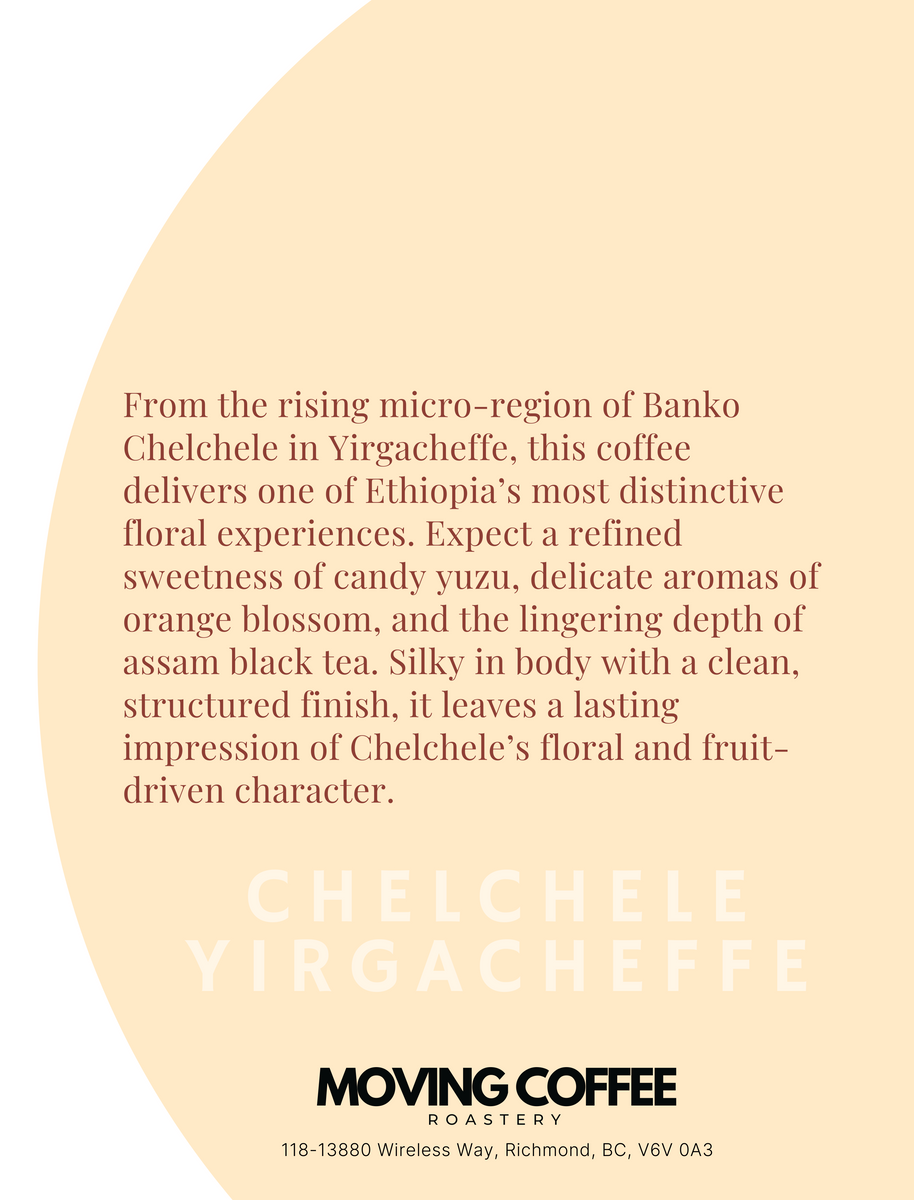 WS4 - Chelchele Yirgacheffe W – MOVING COFFEE ROASTERY